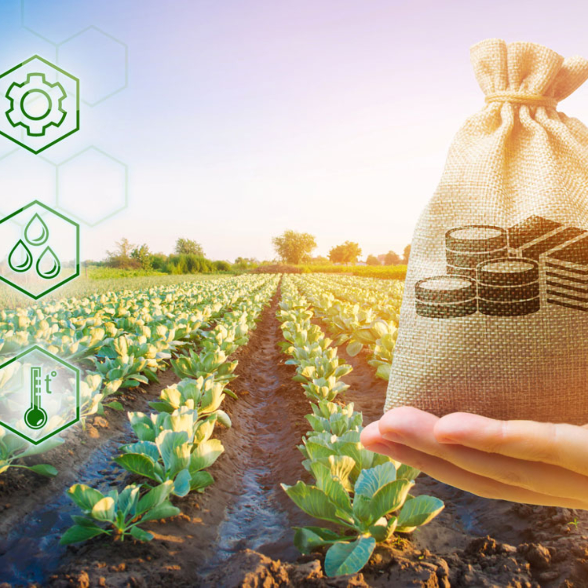 Services – Pathway AG